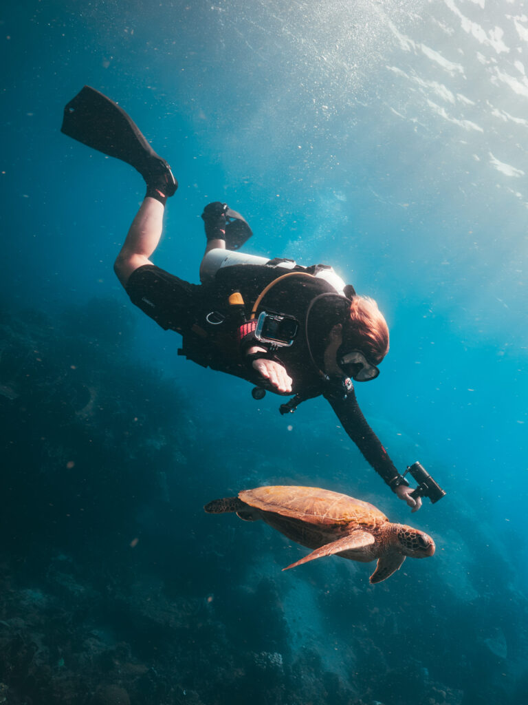 Angel Diver | Koh Tao | Thailand